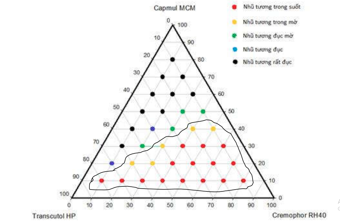 Công ty Hóa Chất Xây Dựng Phương Nam