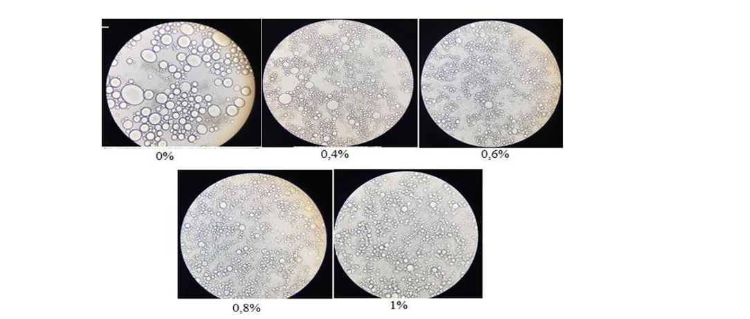 Công ty Hóa Chất Xây Dựng Phương Nam